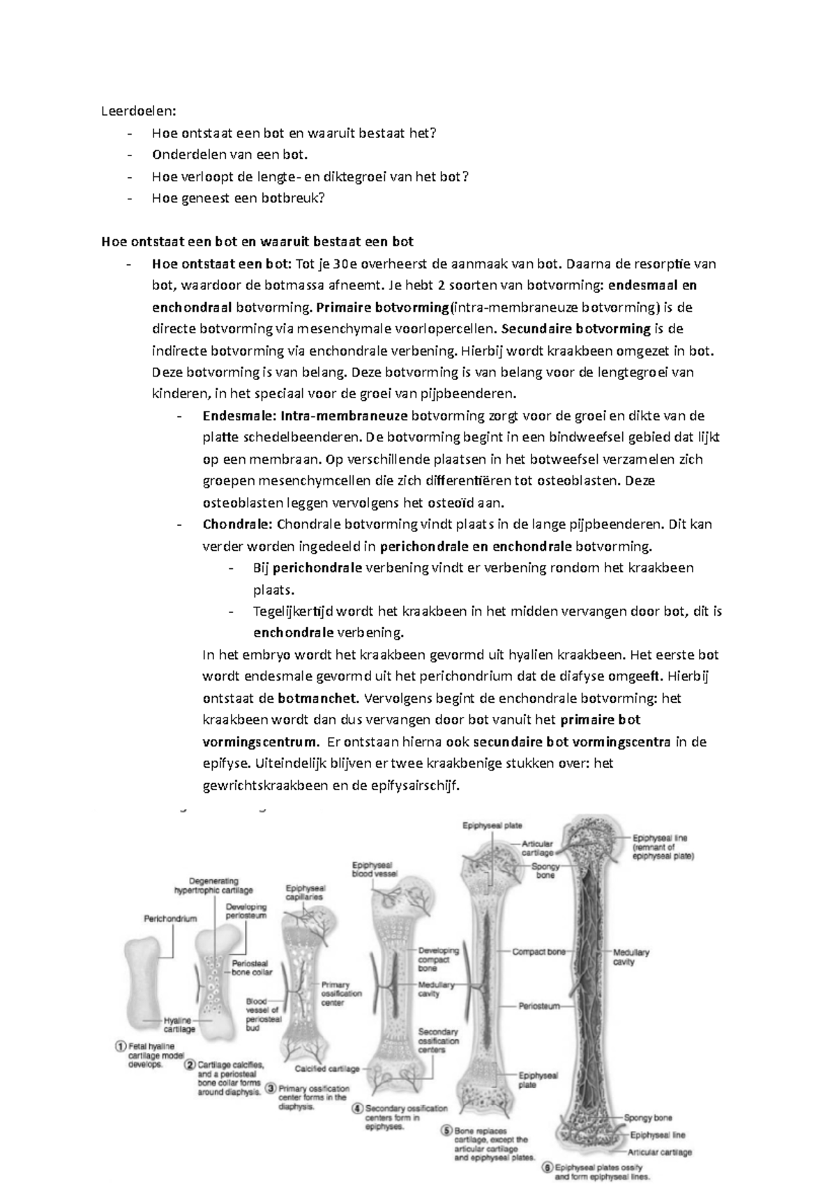 Groei en ontwikkeling I Casus 9 - Leerdoelen: - Hoe ontstaat een bot en ...