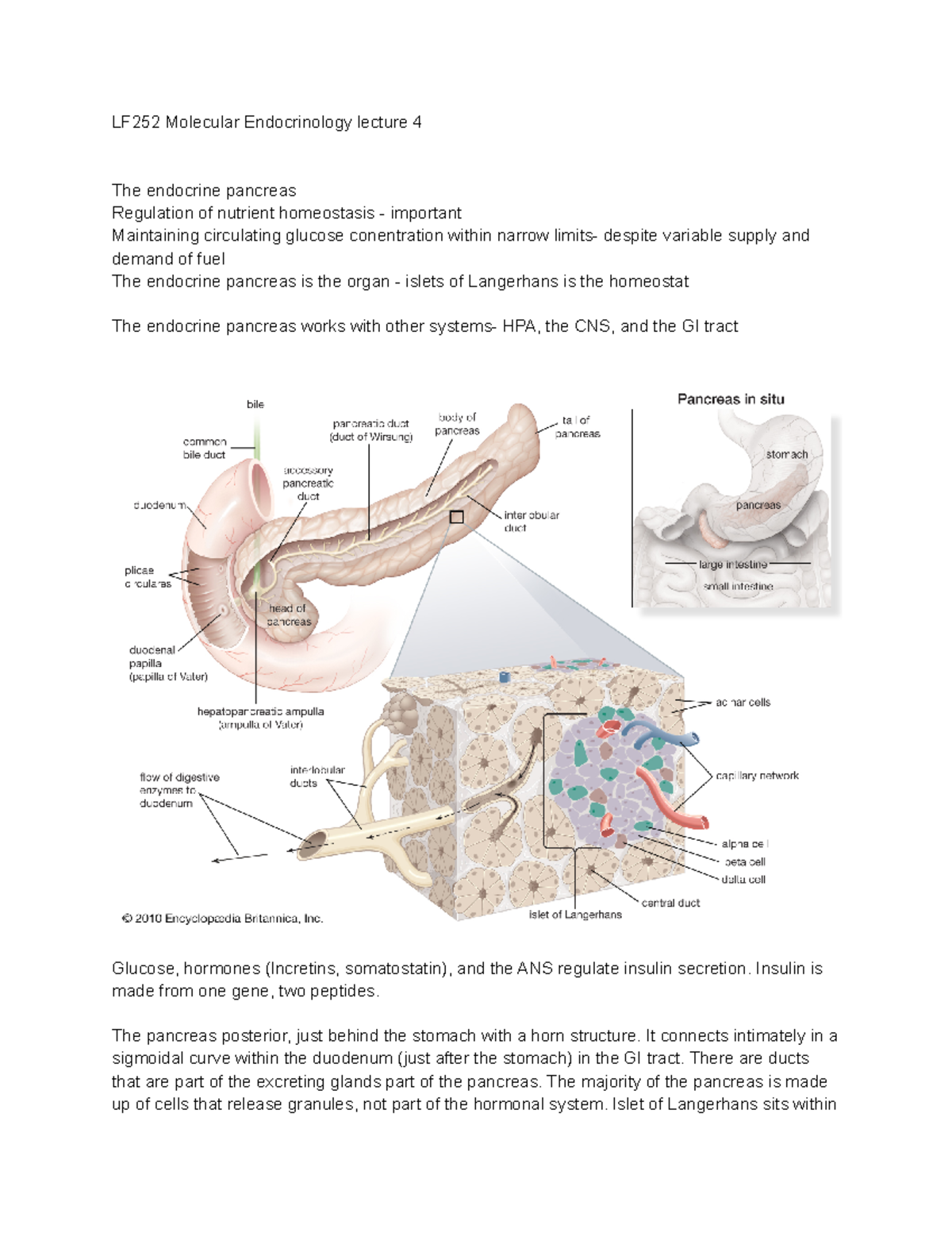 LF252 Molecular Endocrinology Lecture 4: Regulation of Endocrine ...