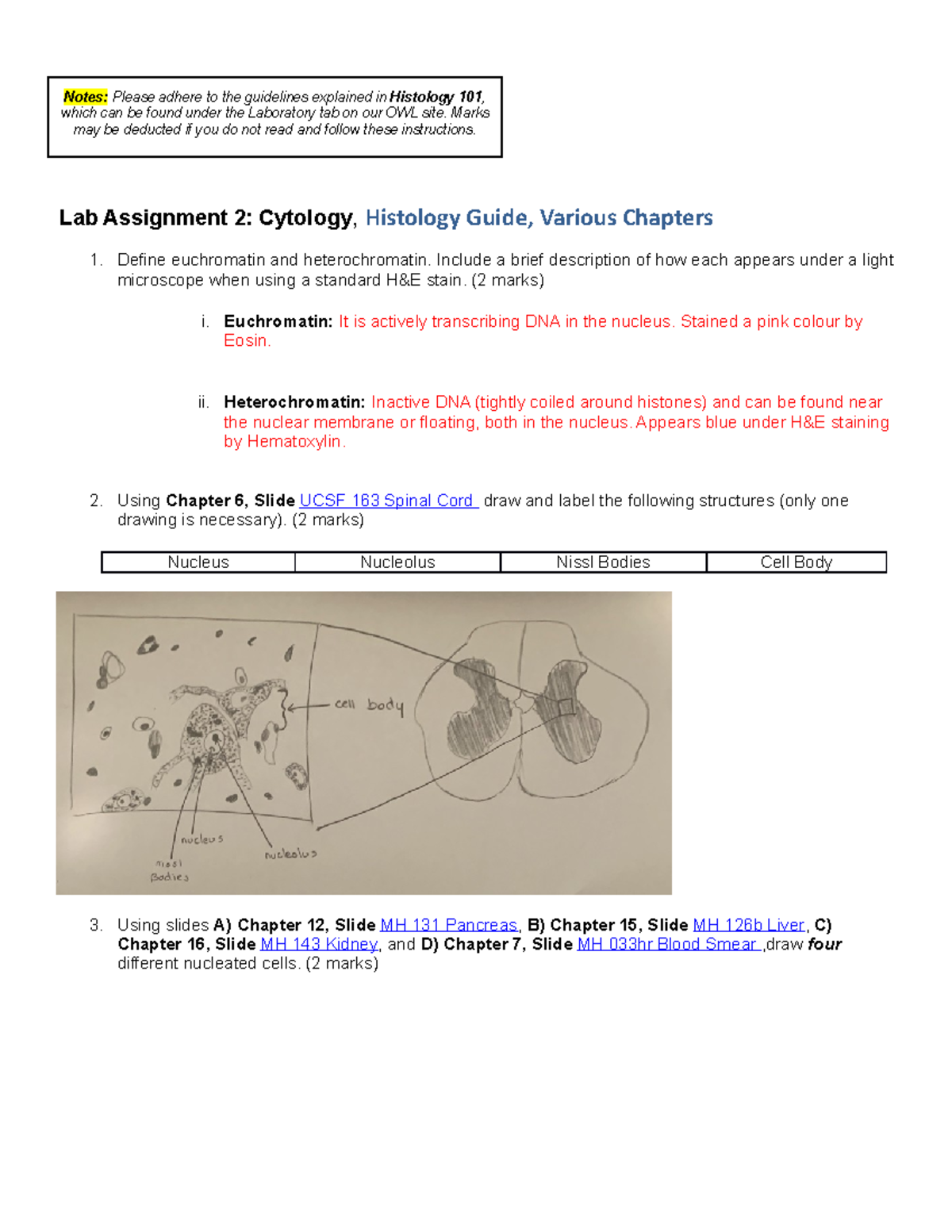 Lab 2 Histology 3309 - Cytology - Lab Assignment 2: Cytology ...