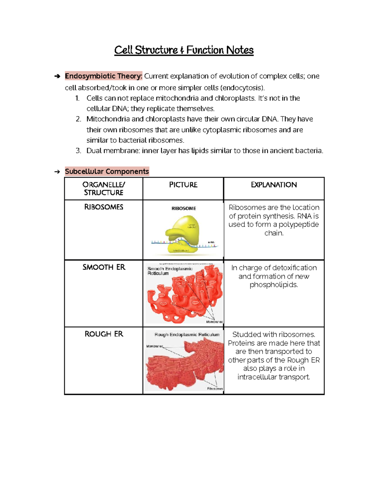 Cell Structure & Function Notes - Cell Structure & Function Notes ...