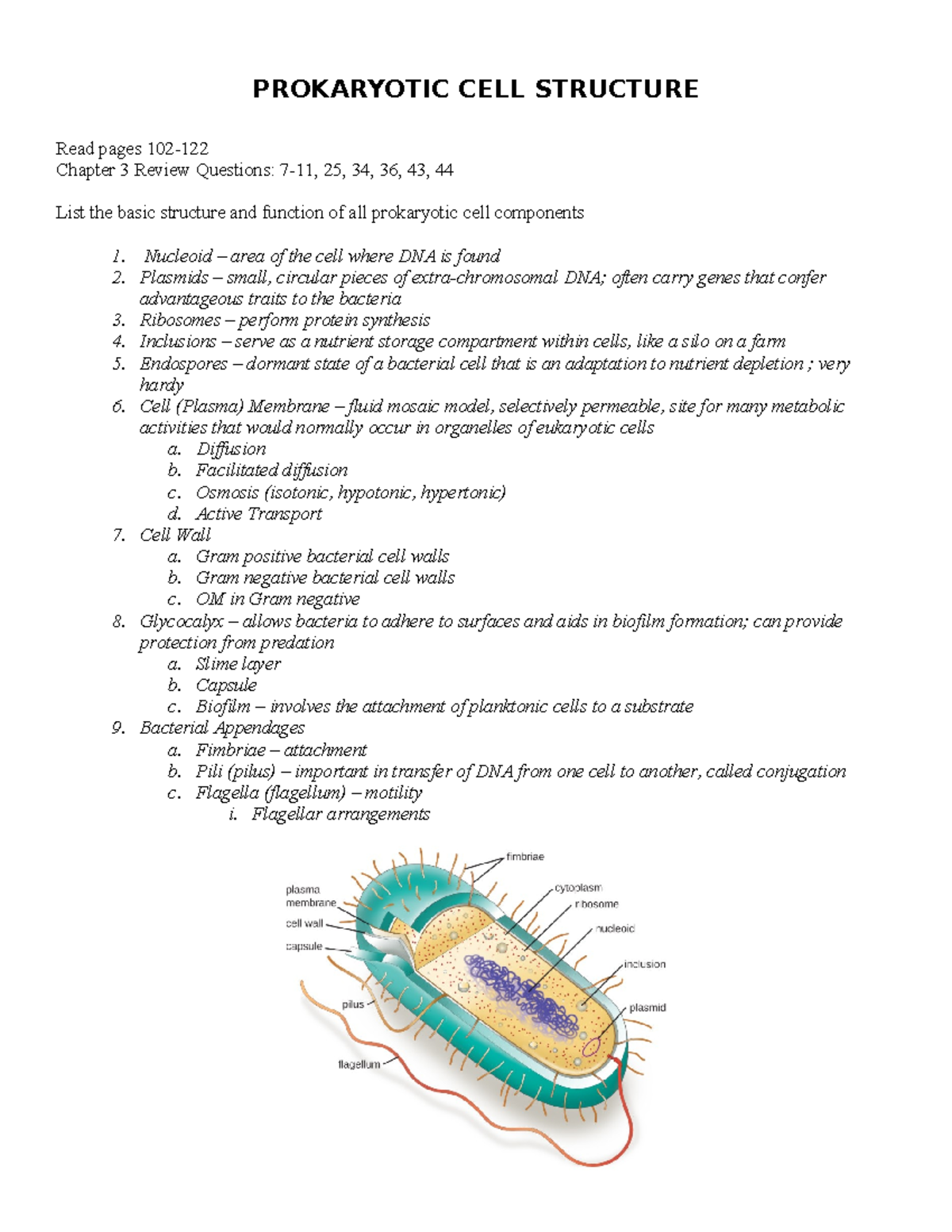 Lesson 2 Micro - PROKARYOTIC CELL STRUCTURE Read pages 102- Chapter 3 ...