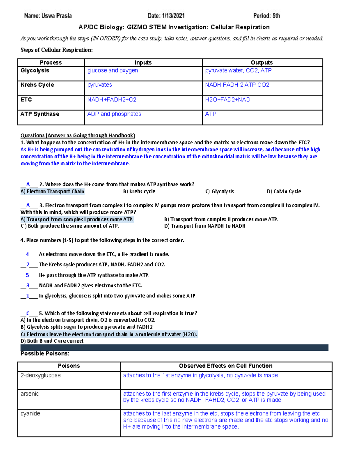 AP Cell Respiration Gizmo Case Study AP DC Biology GIZMO STEM