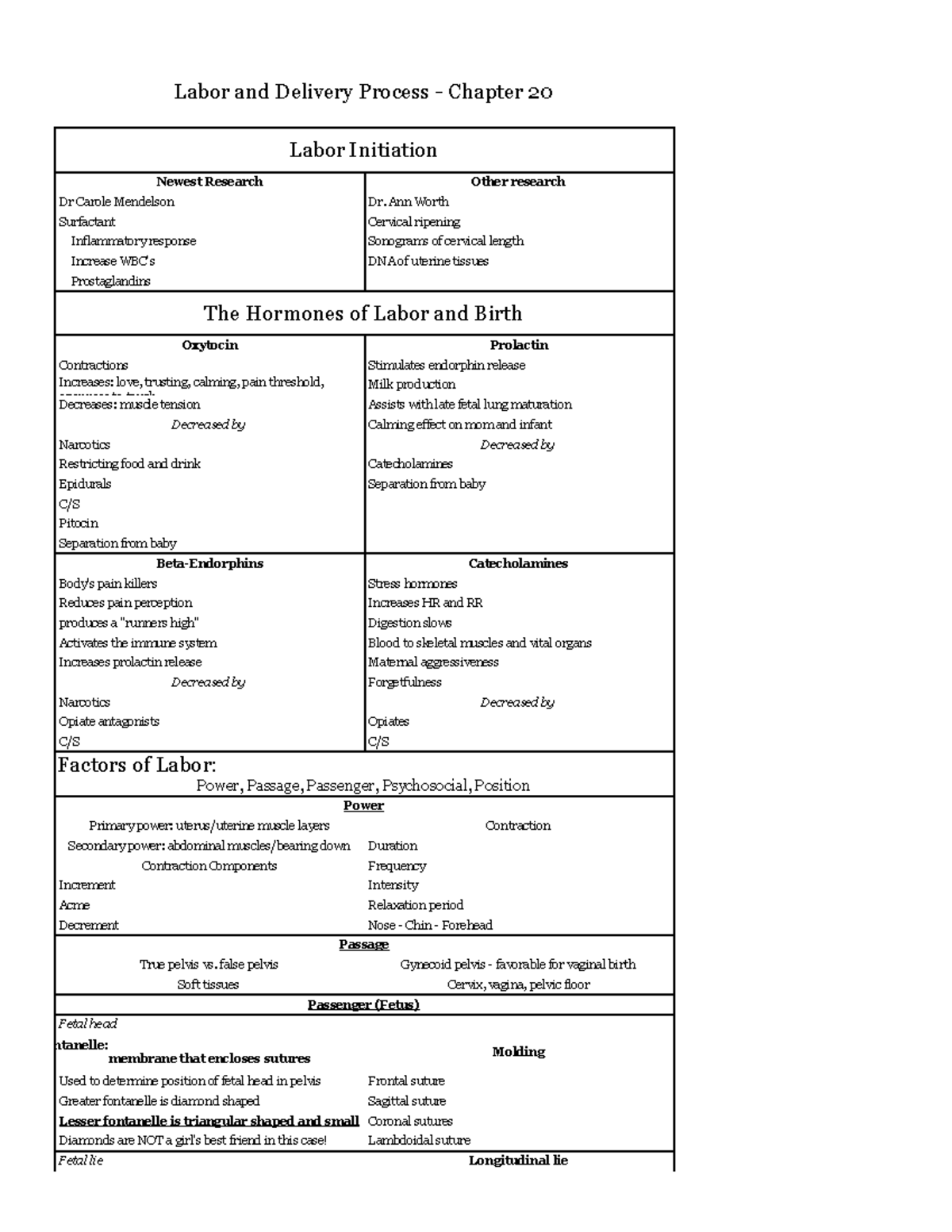Labor and Delivery Process - Email.xlsx - Sheet 1 - Labor and Delivery ...