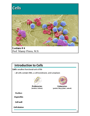 Lab manual reproductive female atlas - IN-LAB EXERCISES Use the ...