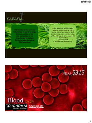 Te Pae Mahutonga - detailed information about health model in nz - TE ...