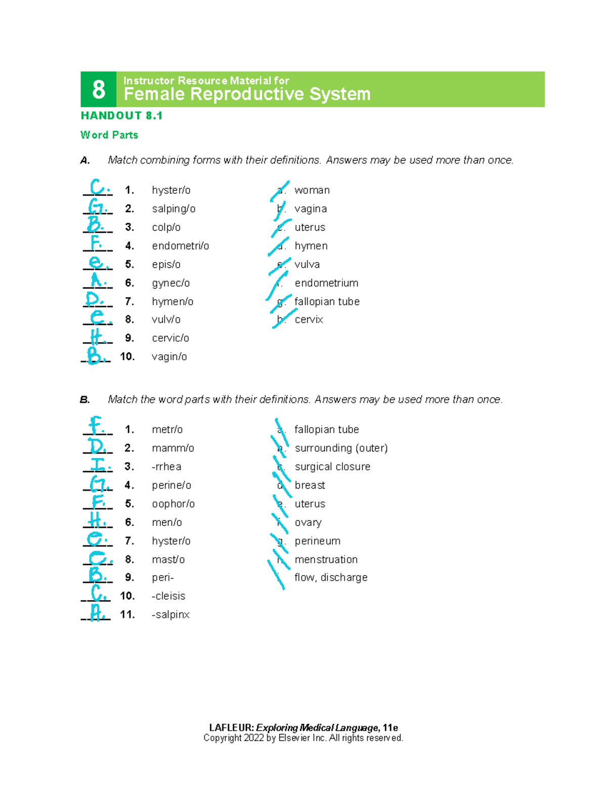 Chapter 008 - LAFLEUR: Exploring Medical Language, 11e 8 Instructor Resource Material for Female ...