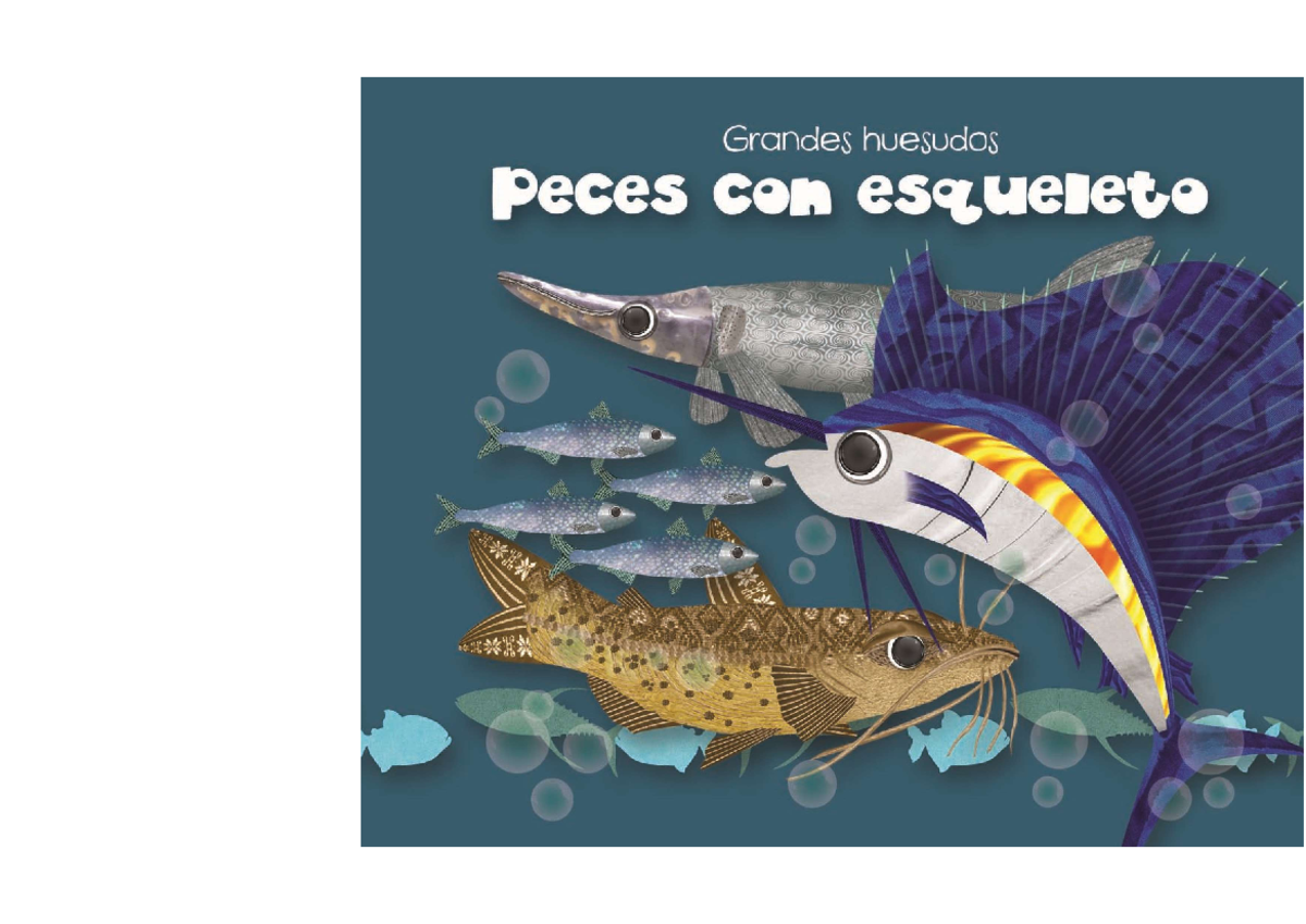 peces óseos y su importancia - Hay dos grandes tipos de peces de ...
