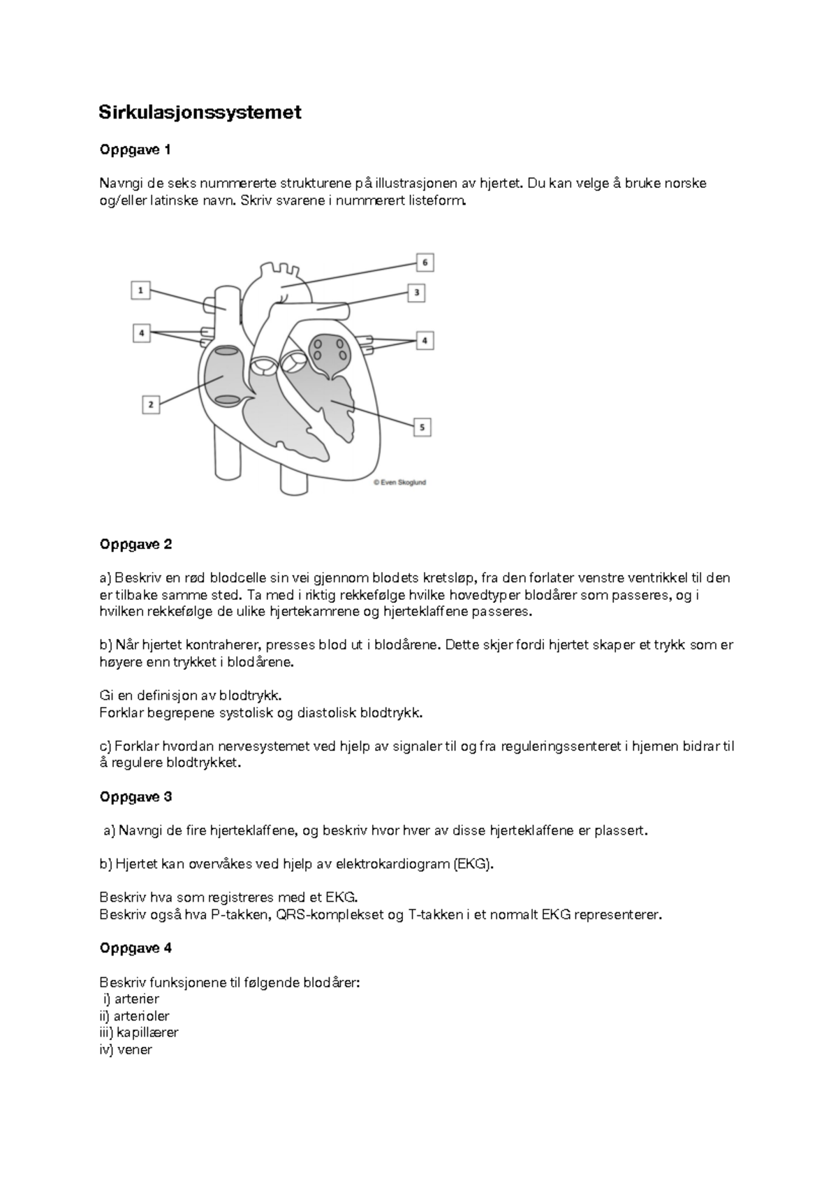 Sirkulasjonssystemet oppgaver og fasit - Sirkulasjonssystemet Oppgave 1 Navngi de seks ...