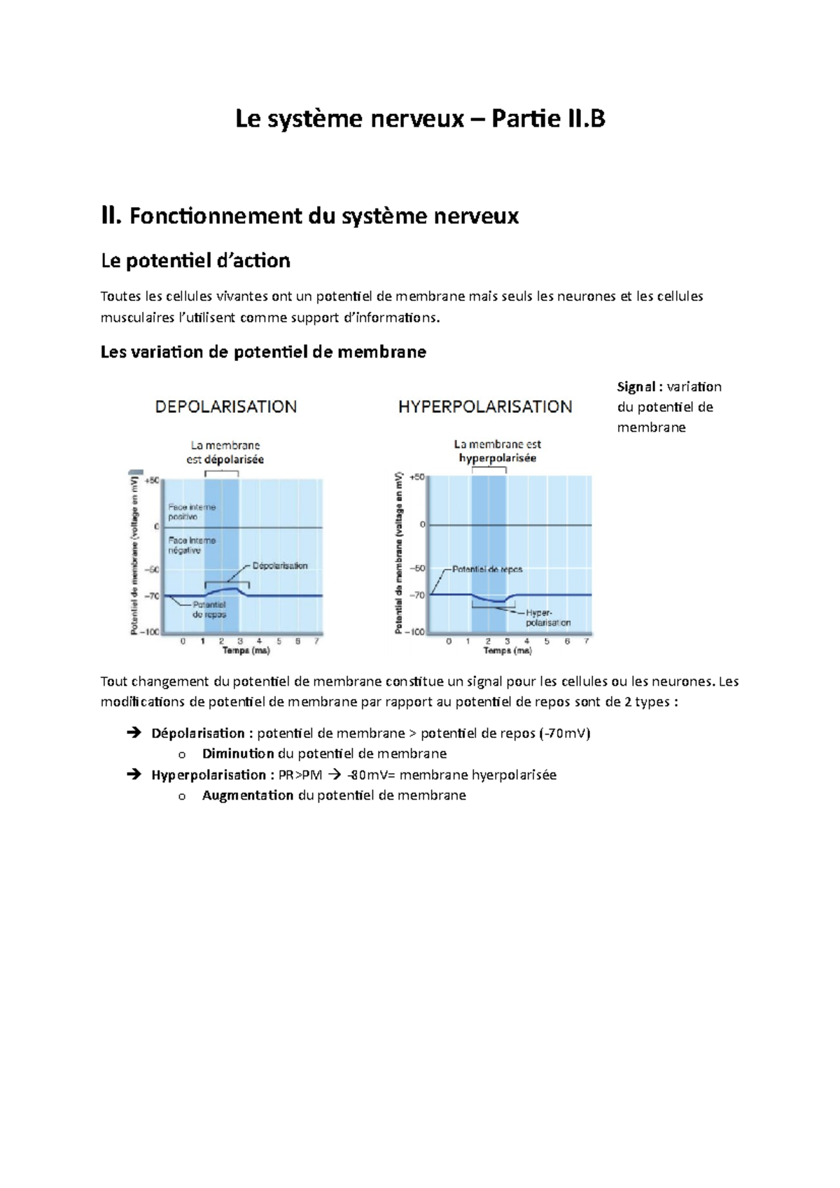 Le système nerveux-II - Le système nerveux – Partie II II ...
