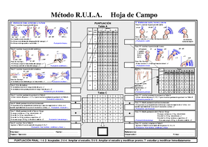 Actividad 1 - ERG.- Metodo RULA-REBA - ACTIVIDAD 1 – MÉTODOS RULA-REBA ...