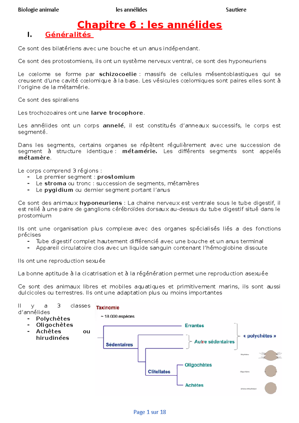 Chapitre 6 : annélides - Chapitre 6 : les annélides I. Généralités Ce ...