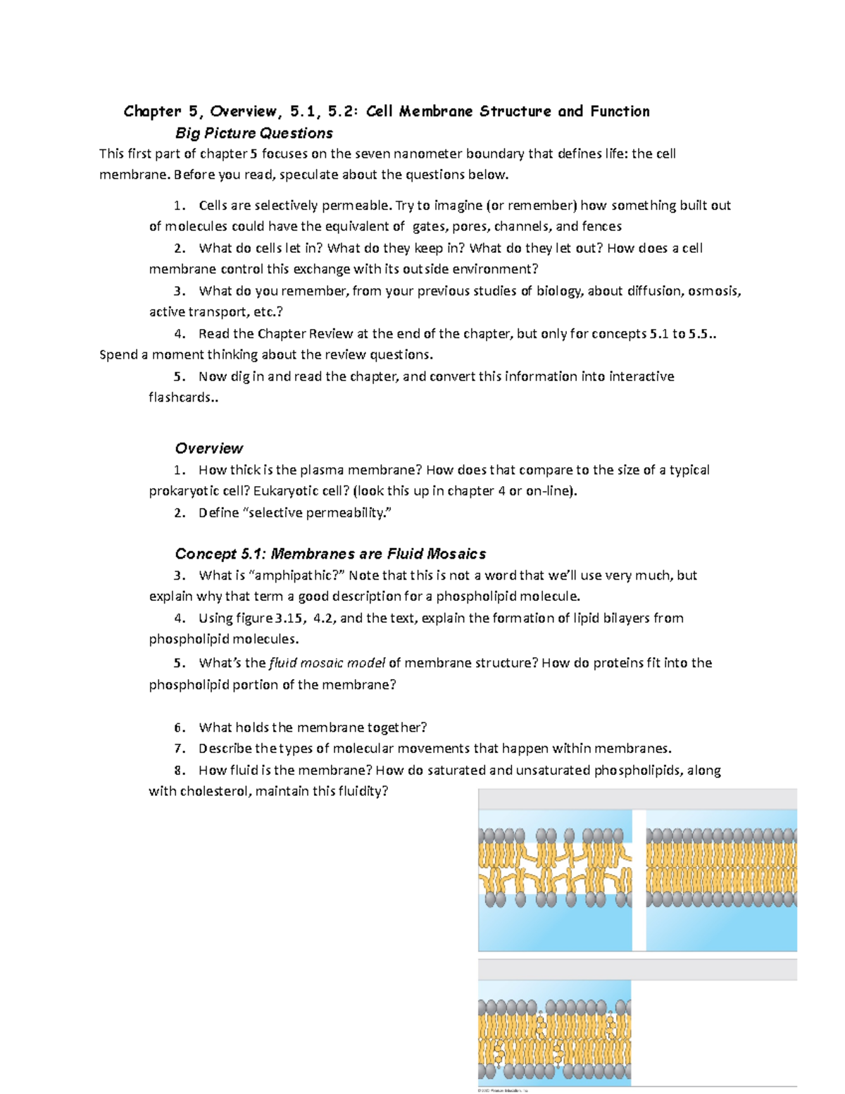 Guided Reading 5 - Chapter 5, Overview, 5, 5: Cell Membrane Structure ...