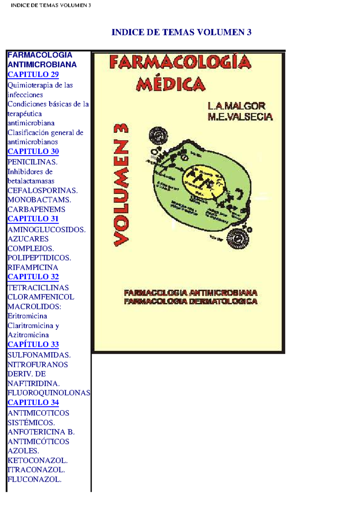 Malgor y Valsecia V3 - INDICE DE TEMAS VOLUMEN 3 INDICE DE TEMAS ...