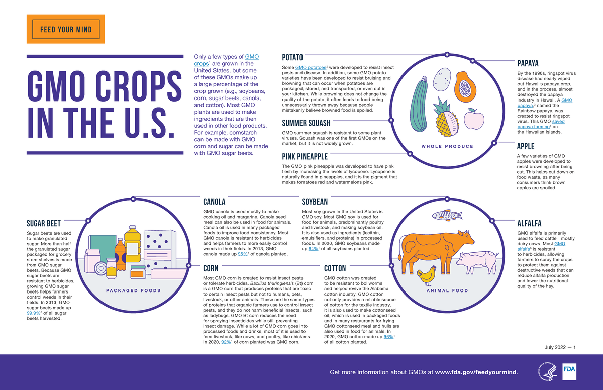 Ag-Biotech What-GMO-Crops-Are-Grown-and-Sold 08042022 - feed your mind ...