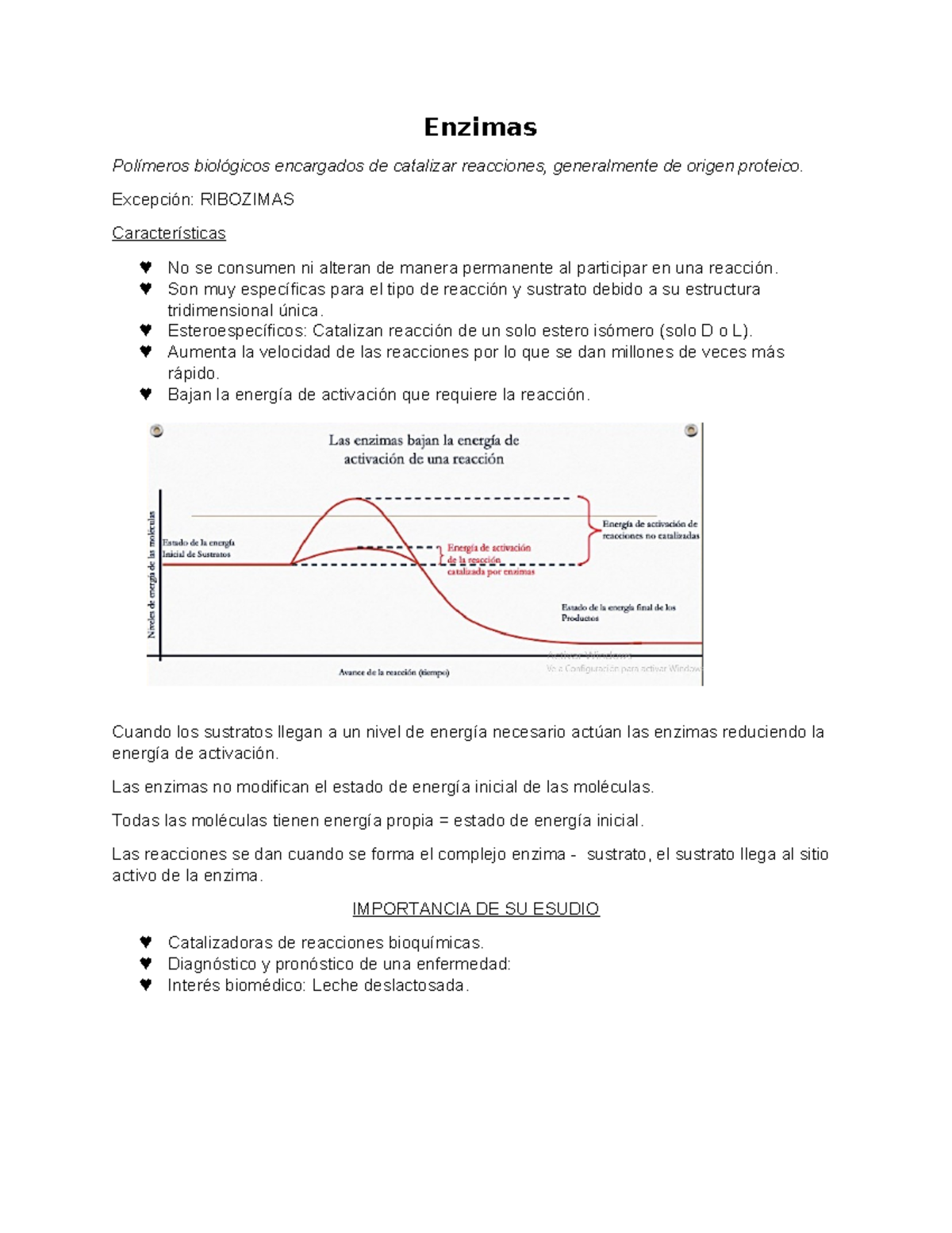 Enzimas - bioquímica - Enzimas Polímeros biológicos encargados de ...