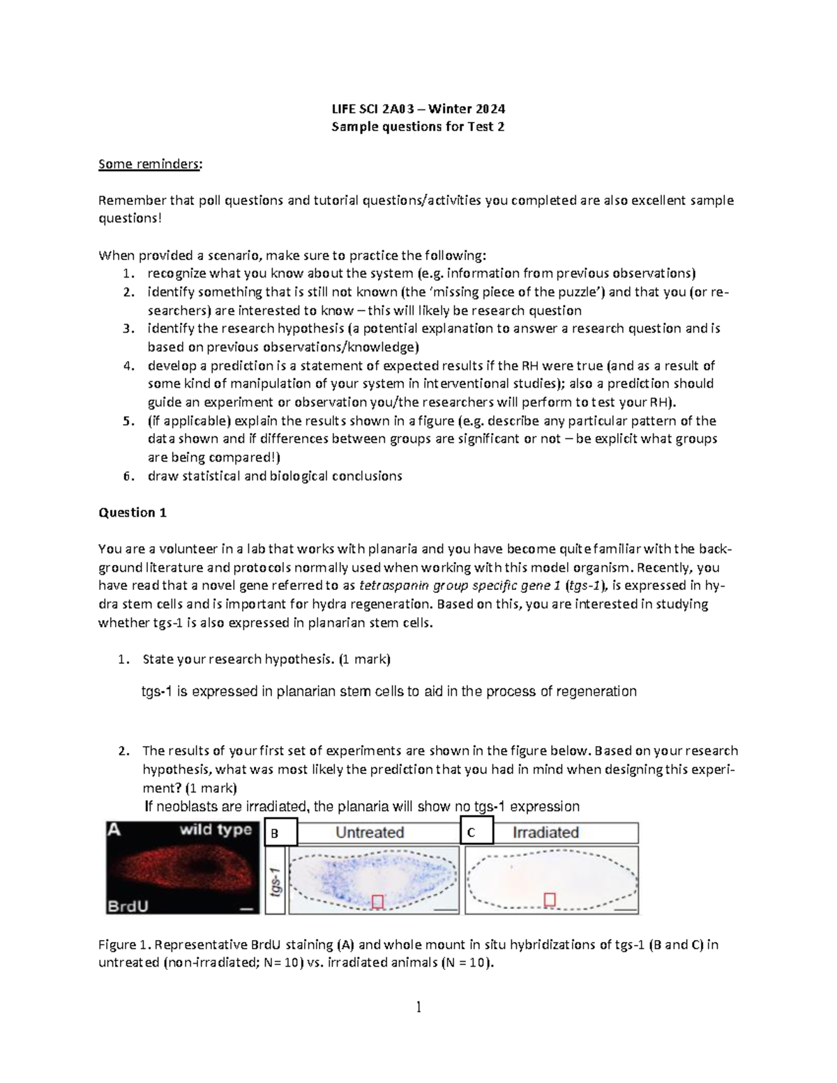 LS2A03 W2024 Test2 Sample Qs w/ sample answers - 1 LIFE SCI 2A03 ...