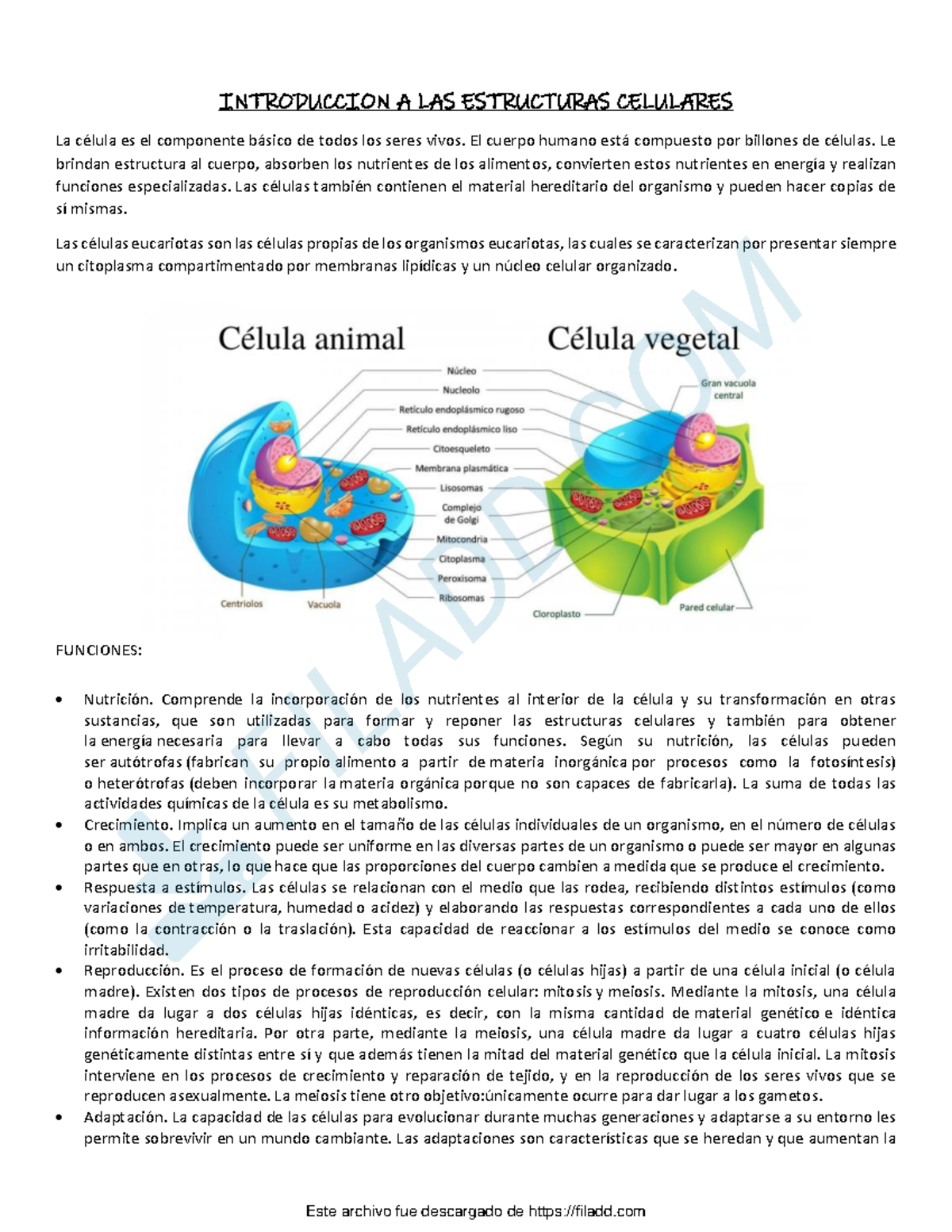Introduccion A LAS Estructuras Celulares - INTRODUCCION A LAS ...