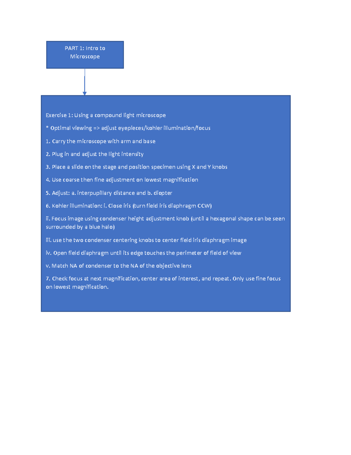 Flowchart Lab 2 intro to microscope biol2010 - PART 1: Intro to ...