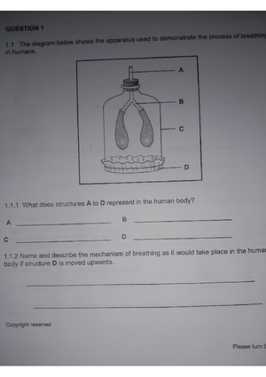 SRAnimal Nutrition - Well summerized notes for grade 11 learner doing ...