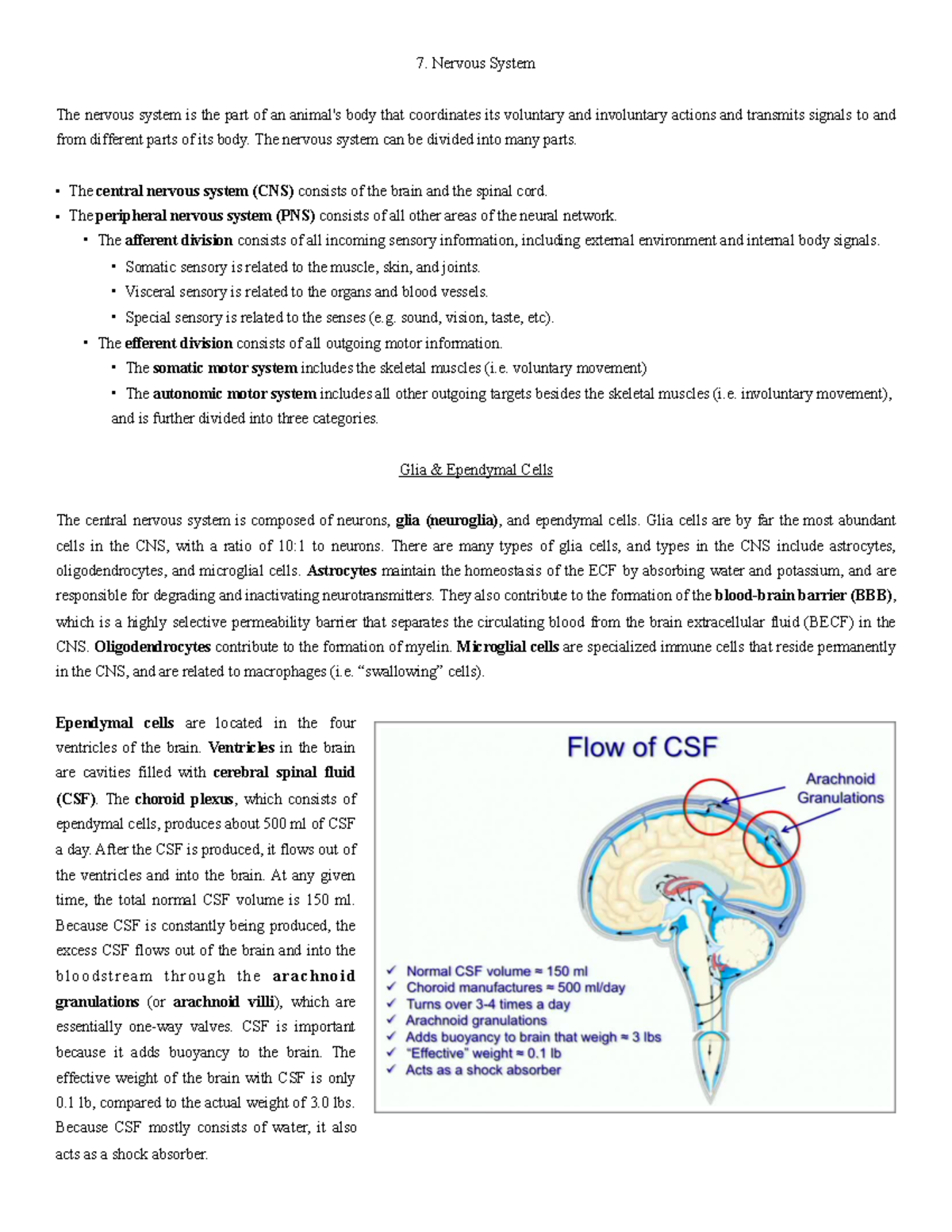 BIO 203 Nervous System Summary - Nervous System The nervous system is ...