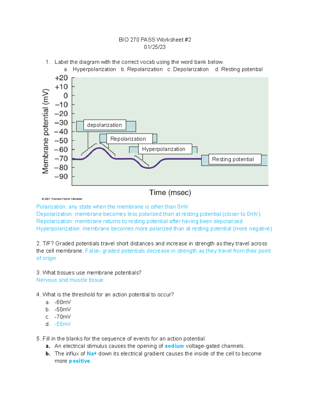 Worksheet 2 (1 25) - Dr. Brown practice material - BIO 270 PASS ...