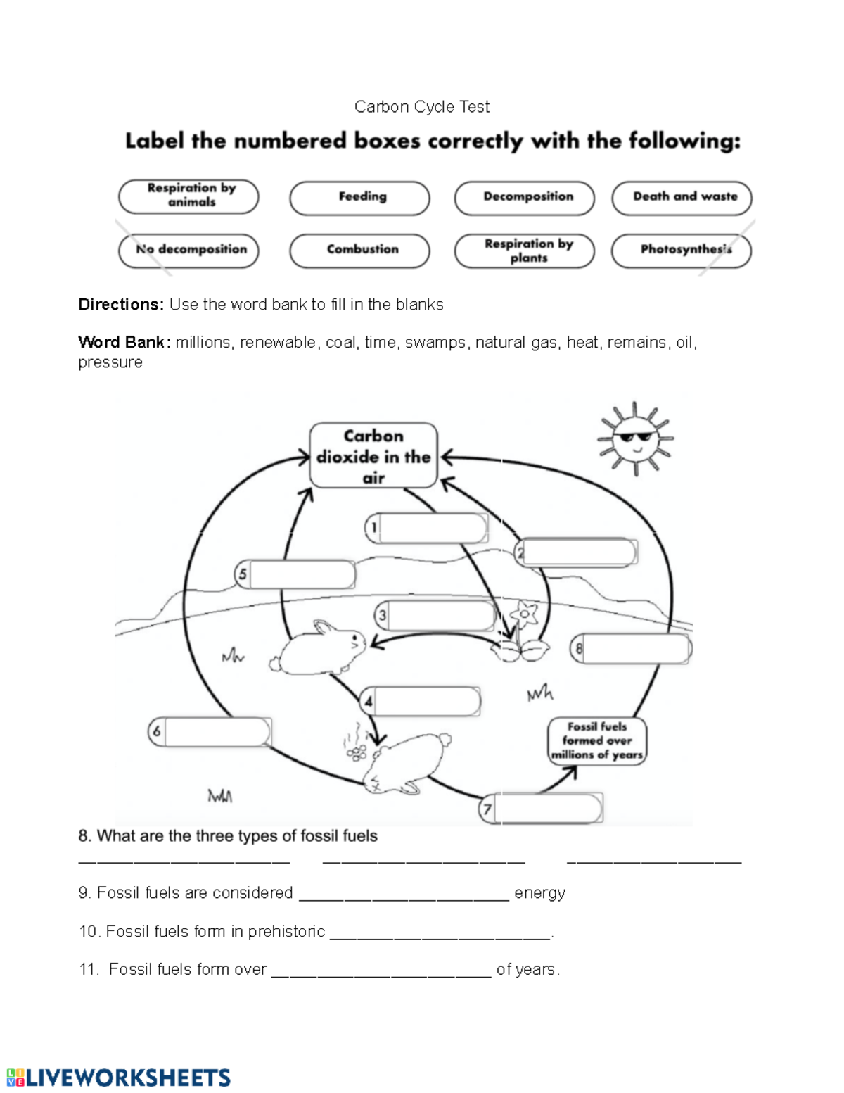 12012 158275655 - n/a - Carbon Cycle Test Directions: Use the word bank ...