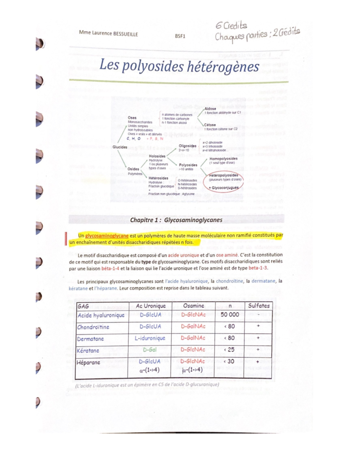 BSF1 polysacc - Cours - Biochimie structurale et fonctionnelle - Studocu
