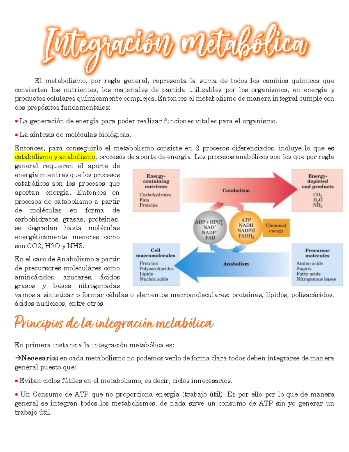Integración metabólica - El metabolismo, por regla general, representa ...