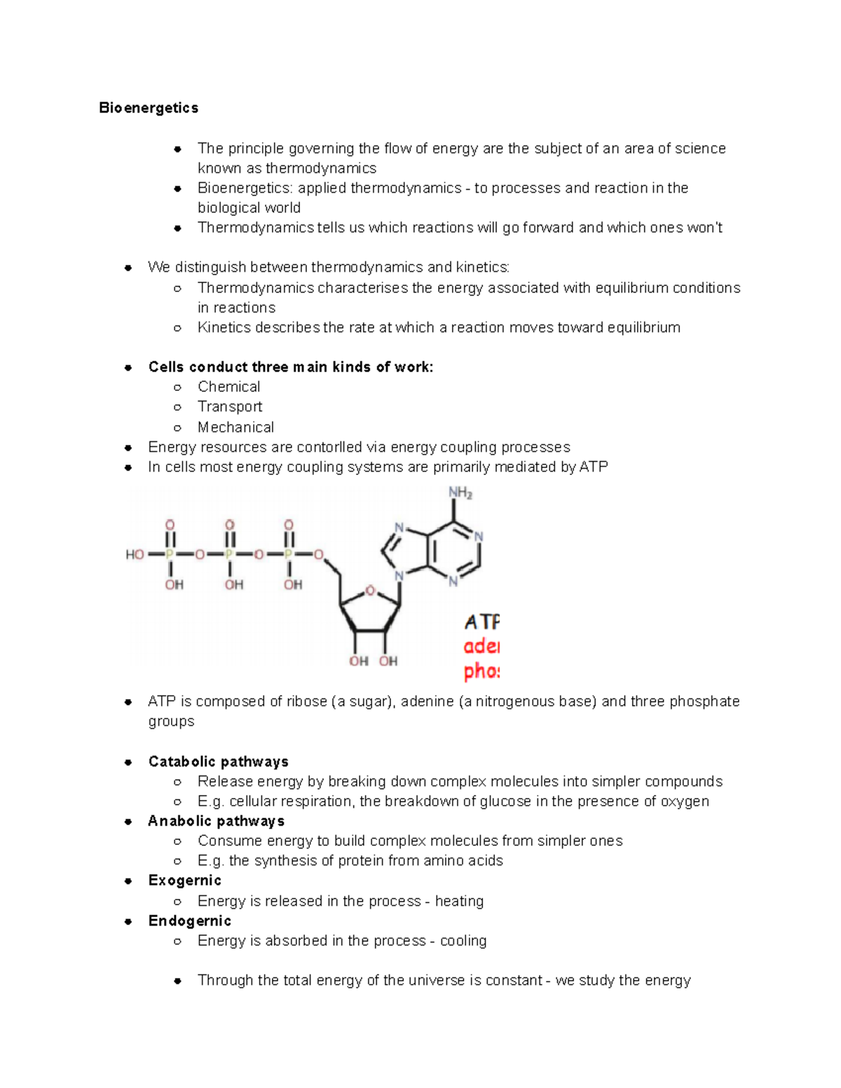 Lecture 7 Bioenergetics - Bioenergetics The principle governing the ...