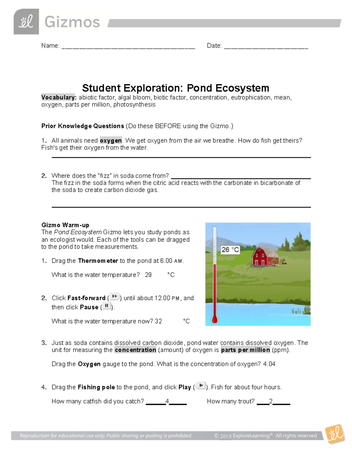 Pond Ecosystem SE 2 - Good answers - Name ...