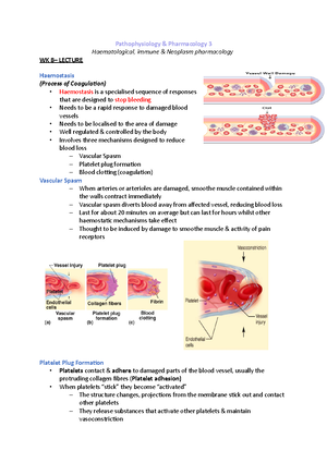 Pathophysiology Notes - Pathophysiology & Pharmacology Notes WEEK 1 ...