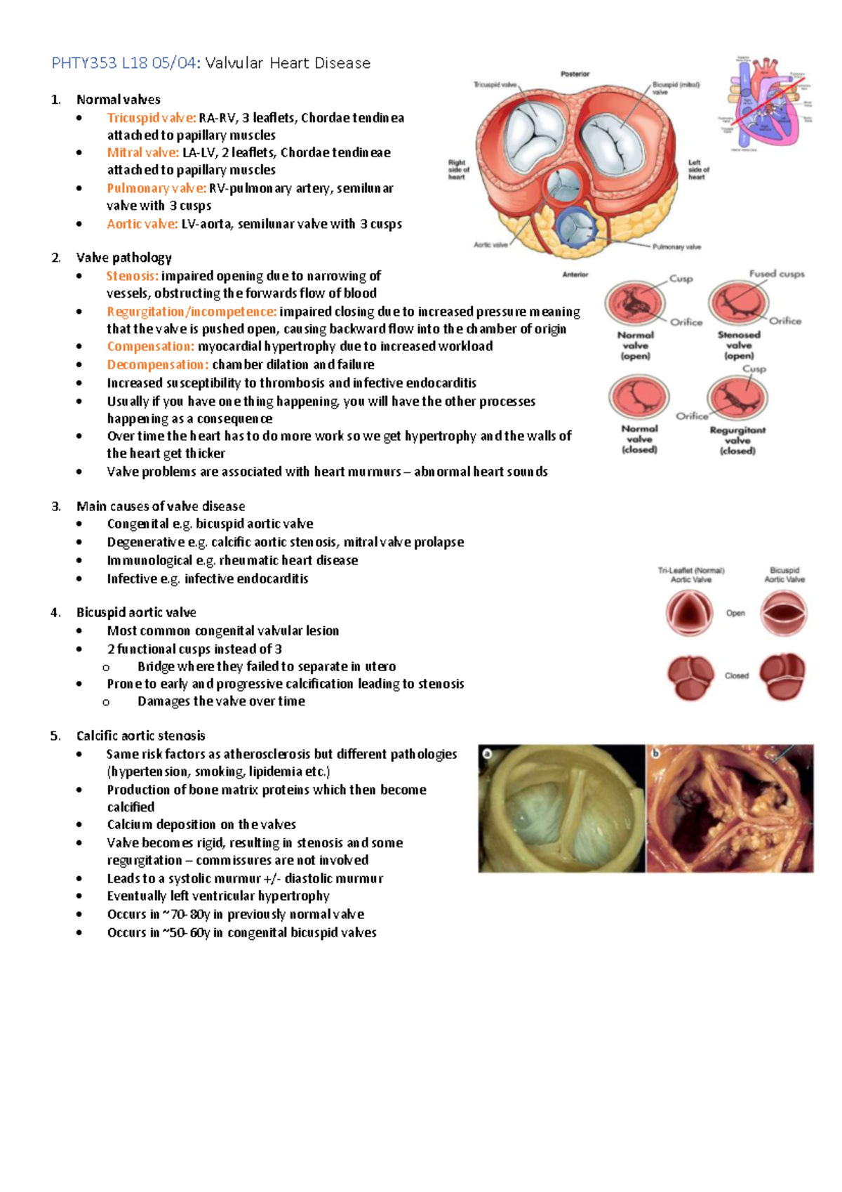 Pathology for Physiotherapy Lecture 18 - Warning: TT: undefined ...