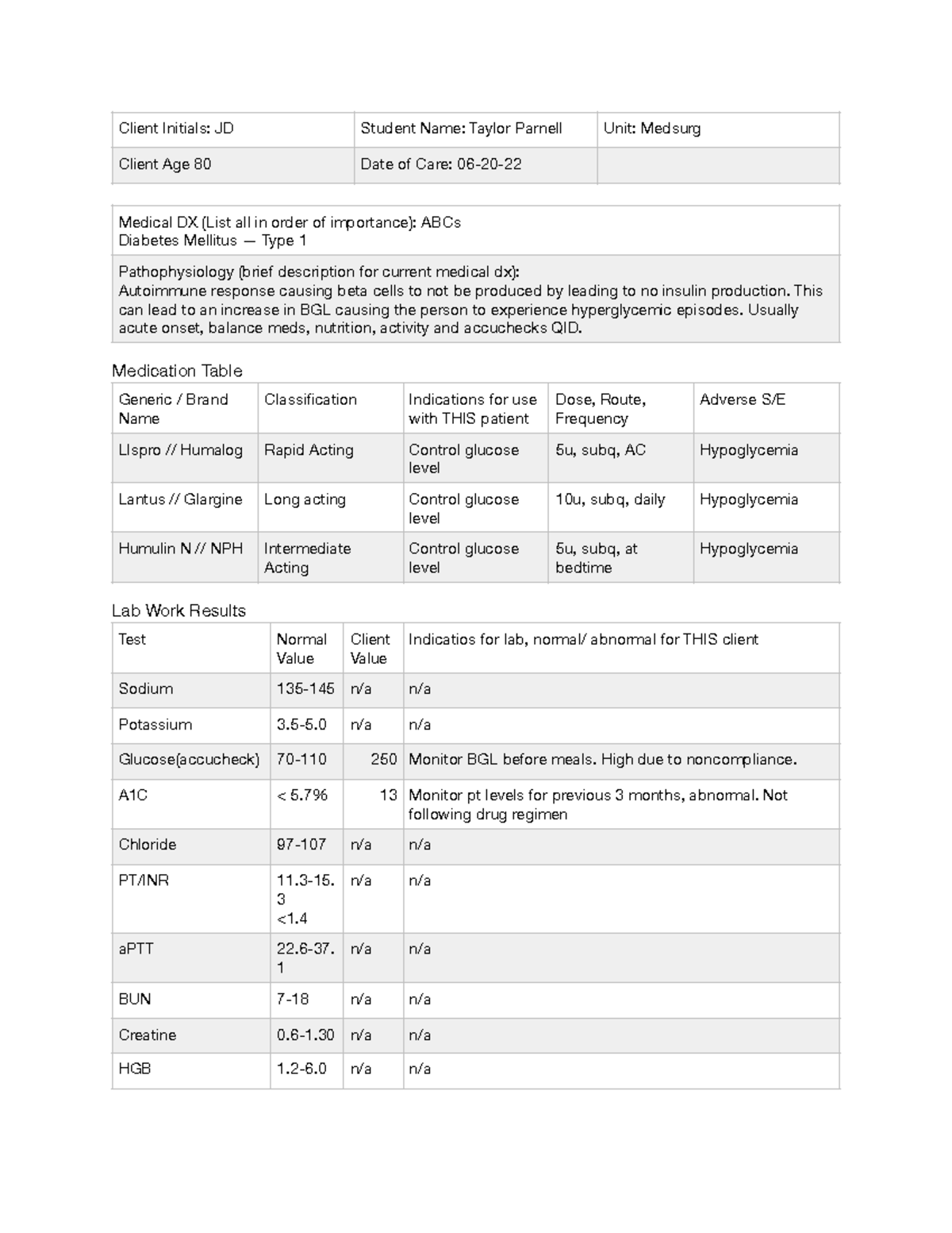 Care Plan Template - Care plan - Medication Table Lab Work Results ...