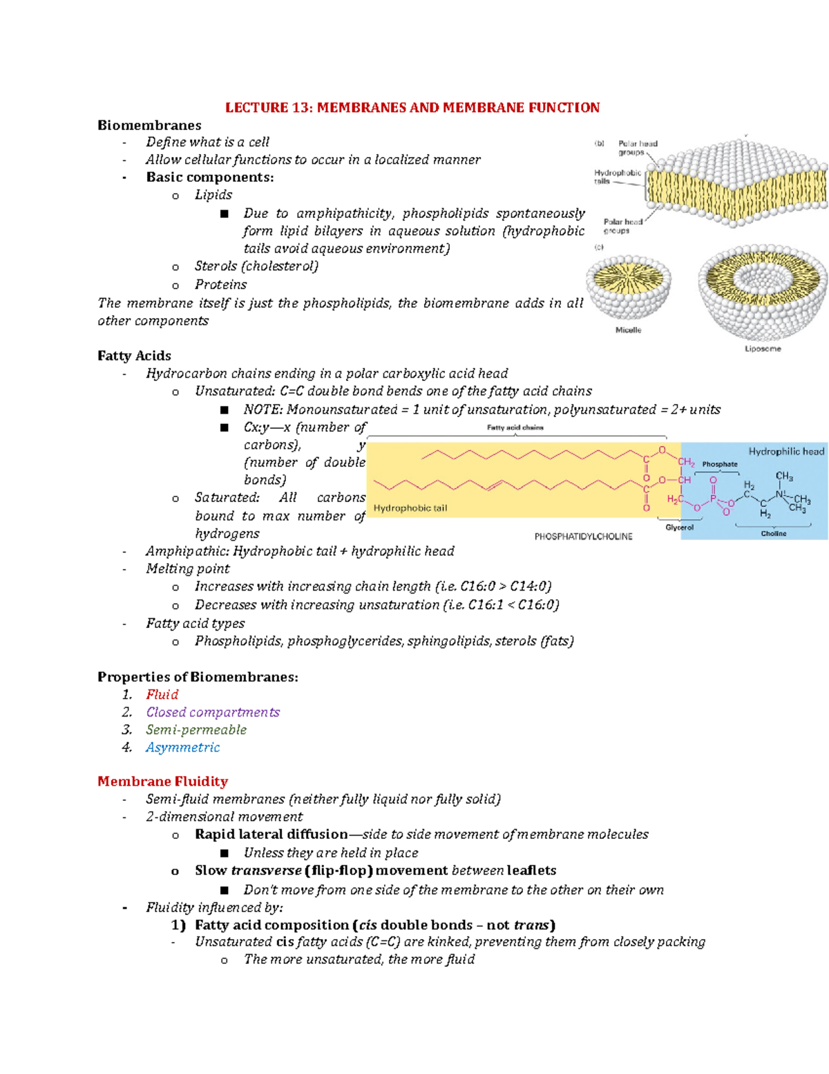 Cell Biology Topics 13-18 - LECTURE 13: MEMBRANES AND MEMBRANE FUNCTION ...