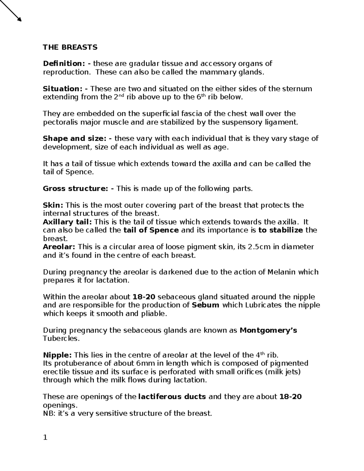 Obstetric Anatomy - THE BREASTS Definition: - these are gradular tissue ...