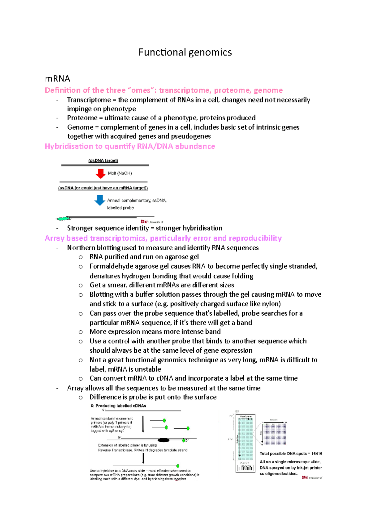 Functional genomics - Notes - Functional genomics mRNA Definition of ...