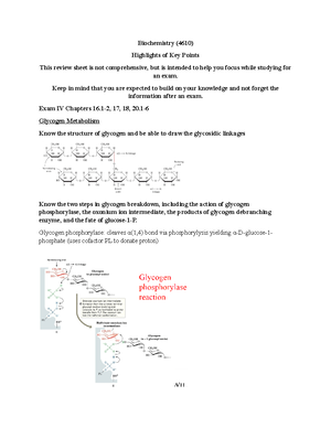 Biochem Exam 2 Study Guide - Biochemistry (4610) Highlights of Key ...