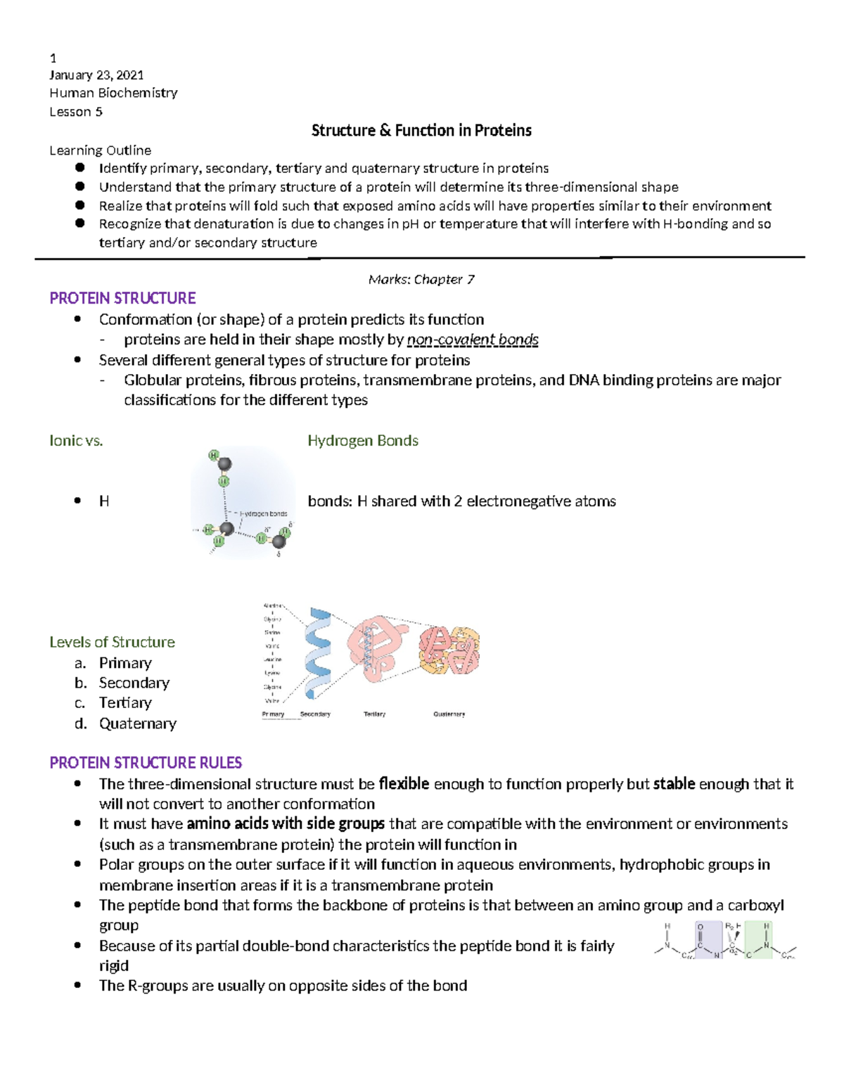 05 Structure & Function in Proteins - 1 January 23, 2021 Human Biochemistry Lesson 5 Structure ...