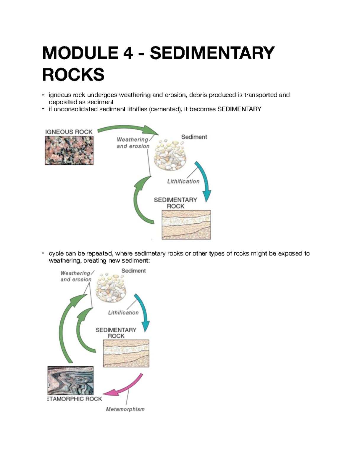Module 4 Sedimentary Rocks - MODULE 4 - SEDIMENTARY ROCKS - igneous ...