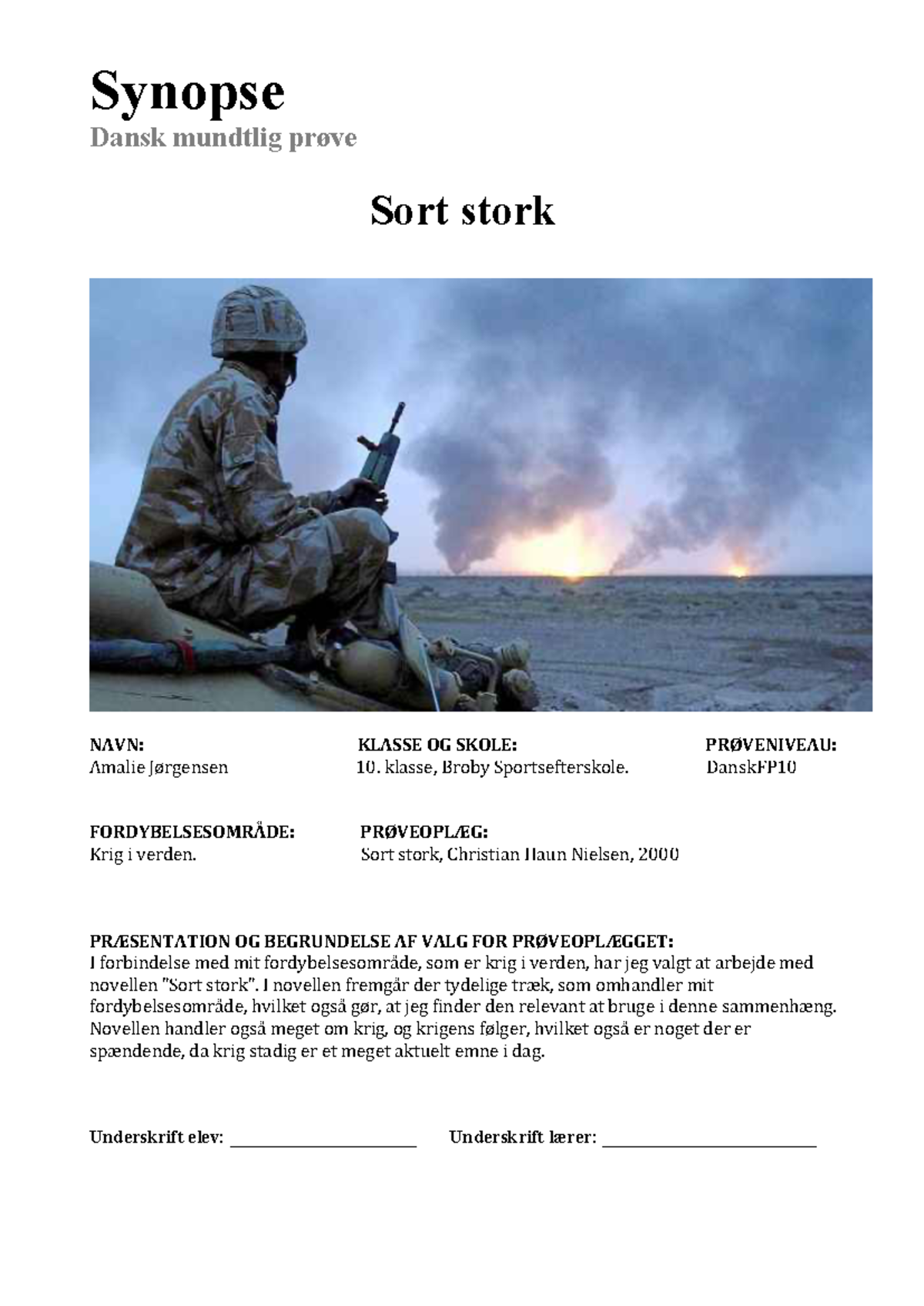 Dansk synopsis - Sort stork - Synopse Dansk mundtlig prøve Sort stork ...