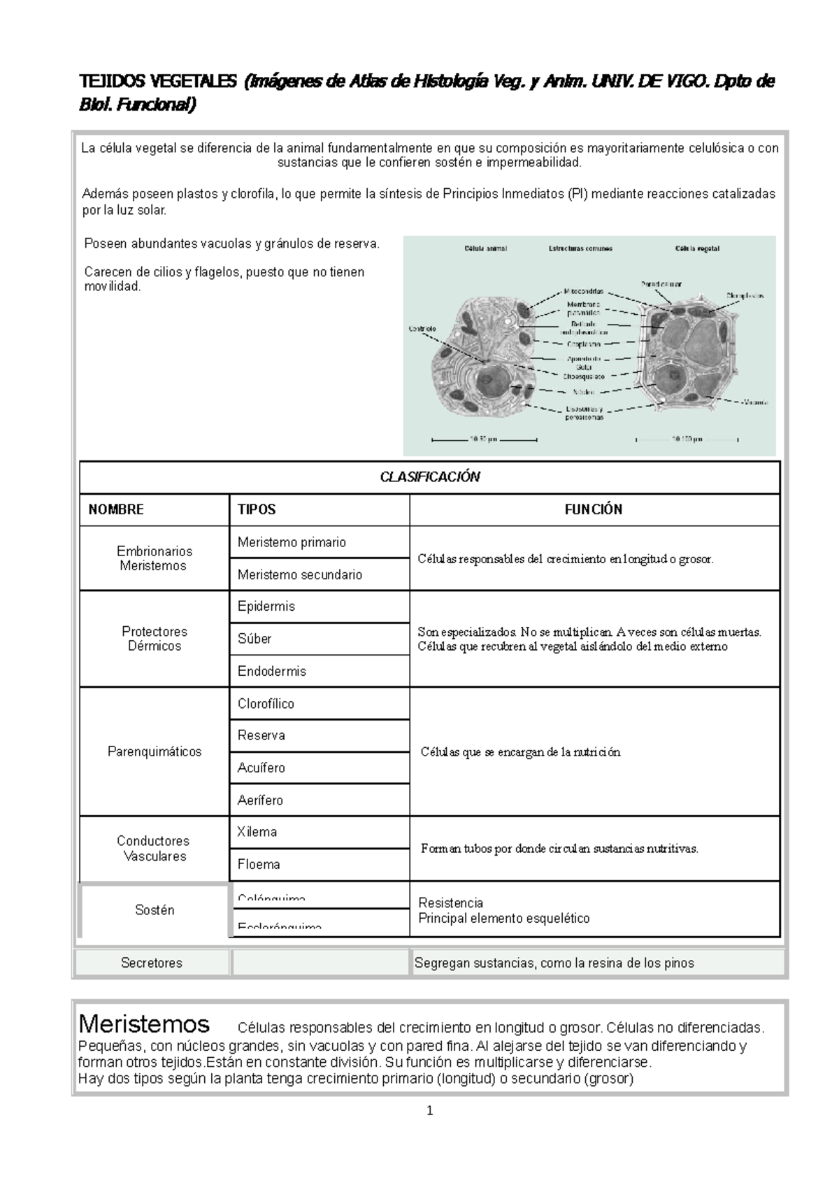 Apuntes de histología vegetal - TEJIDOS VEGETALES (imágenes de Atlas de ...