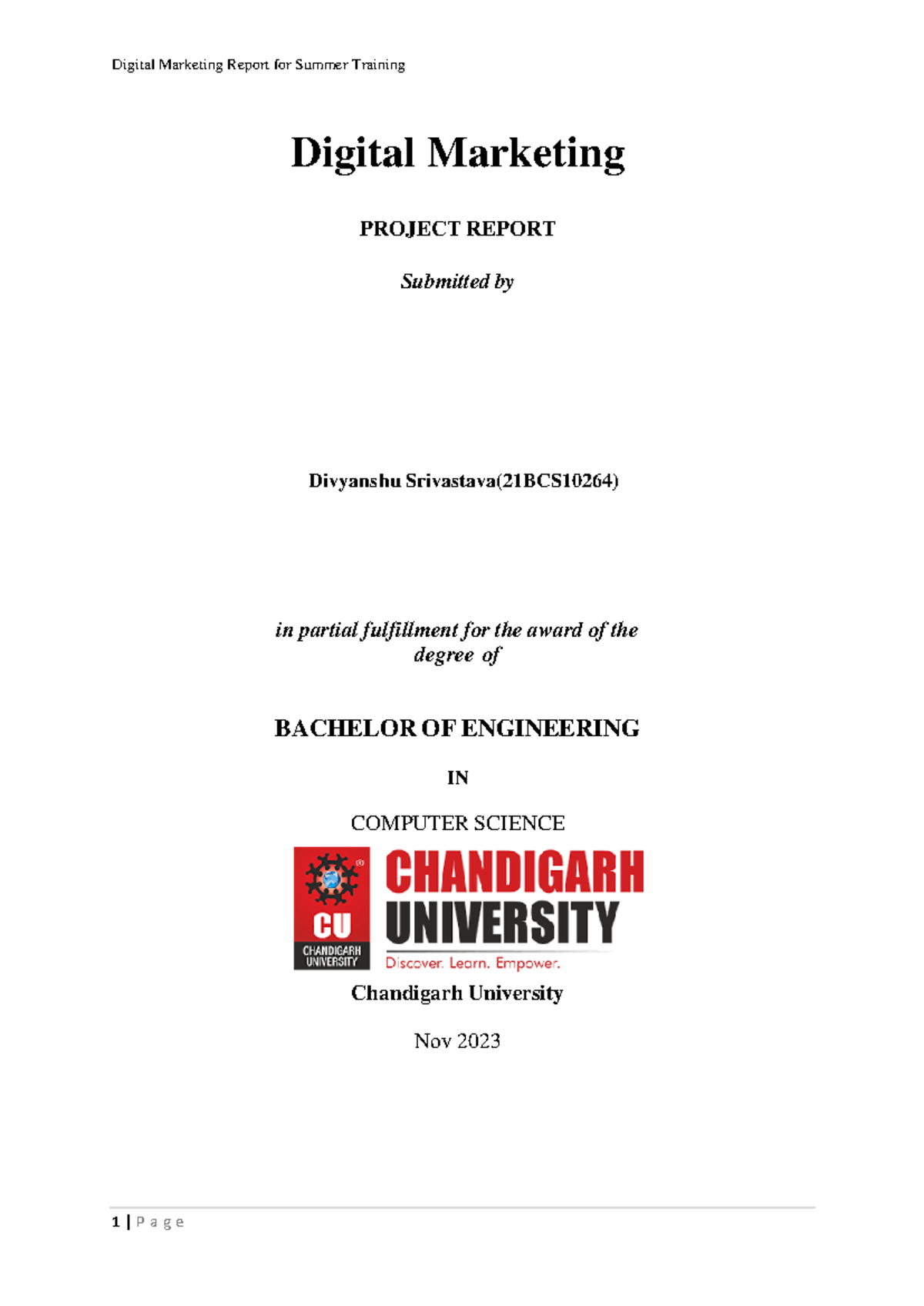 Summer Trainig Digital Marketing Report - Digital Marketing PROJECT ...