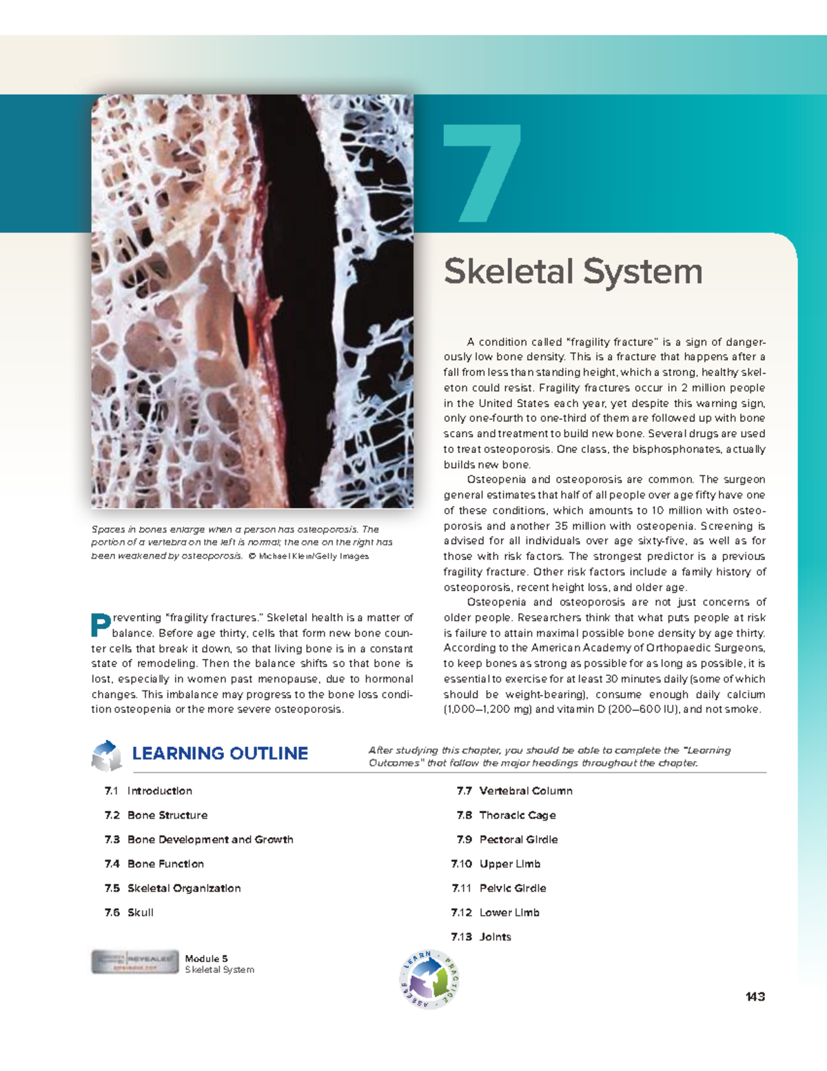 Skeletal+System+Book+Pages - L E A R N P R A C I T E C E S S A S S 143 ...