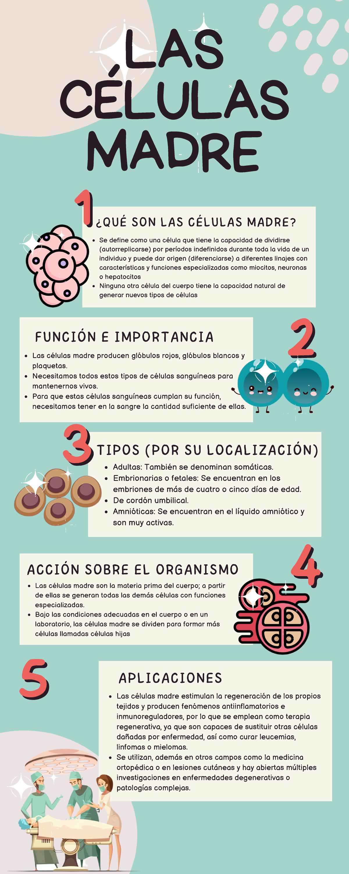 Las células madre - Espero los ayude - ¿QUÉ SON LAS CÉLULAS MADRE? Se ...