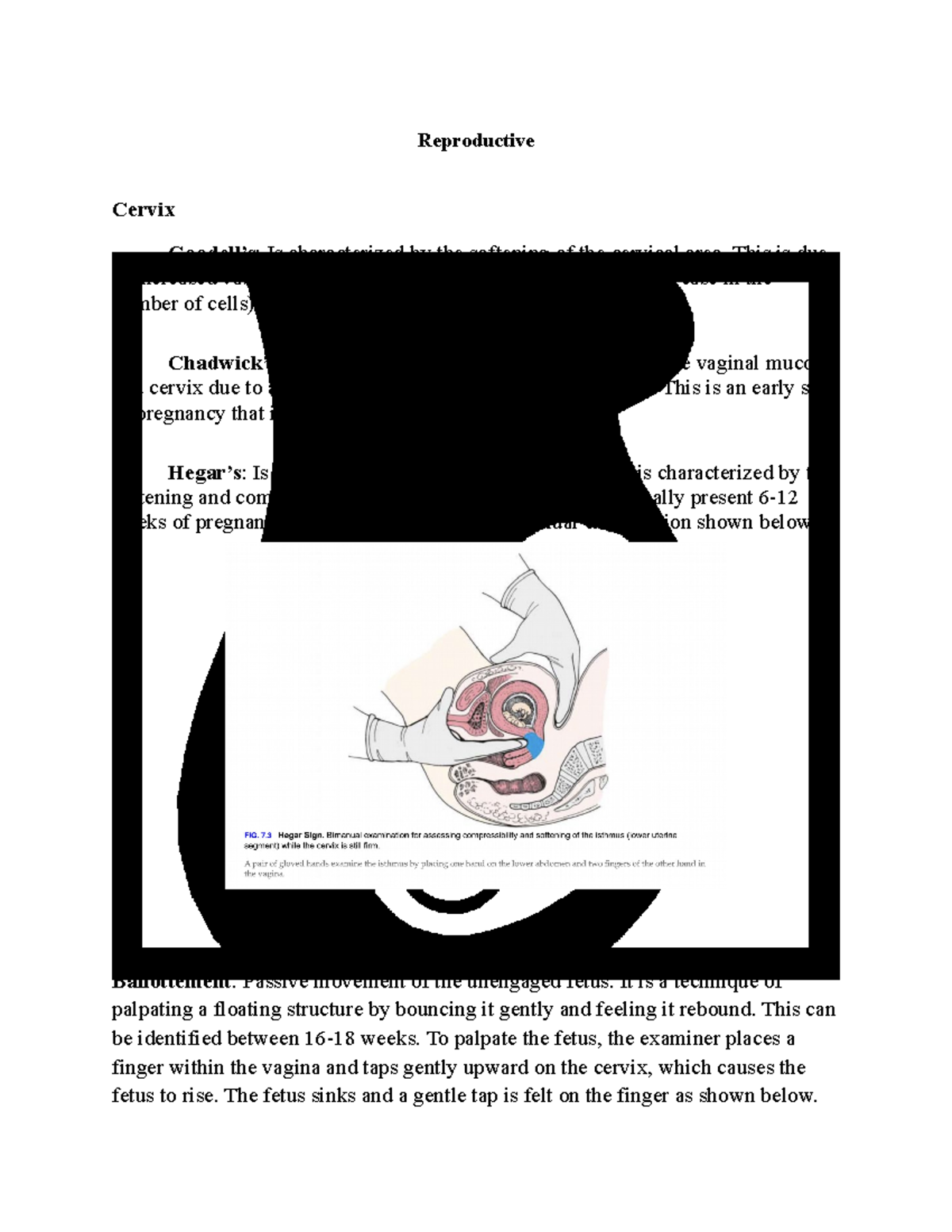 Uterian Changes - Reproductive Cervix Goodell’s: Is characterized by ...
