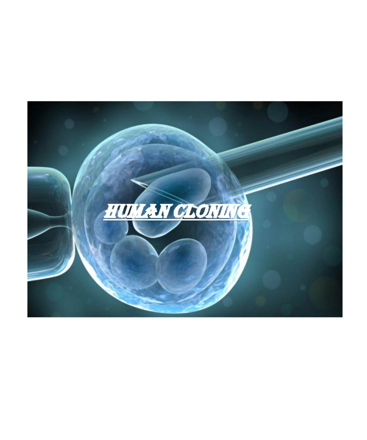 Human Cloning - HUMAN CLONING HUMAN CLONING BIOLOGY PROJECT HUMAN ...