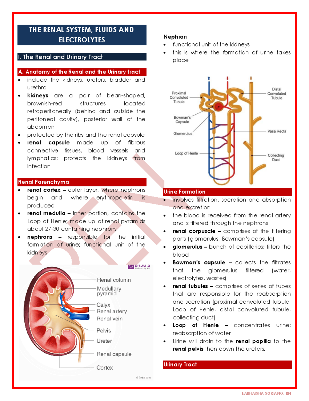 MS Renal 1 Handout Soriano E - THE RENAL SYSTEM, FLUIDS AND ...