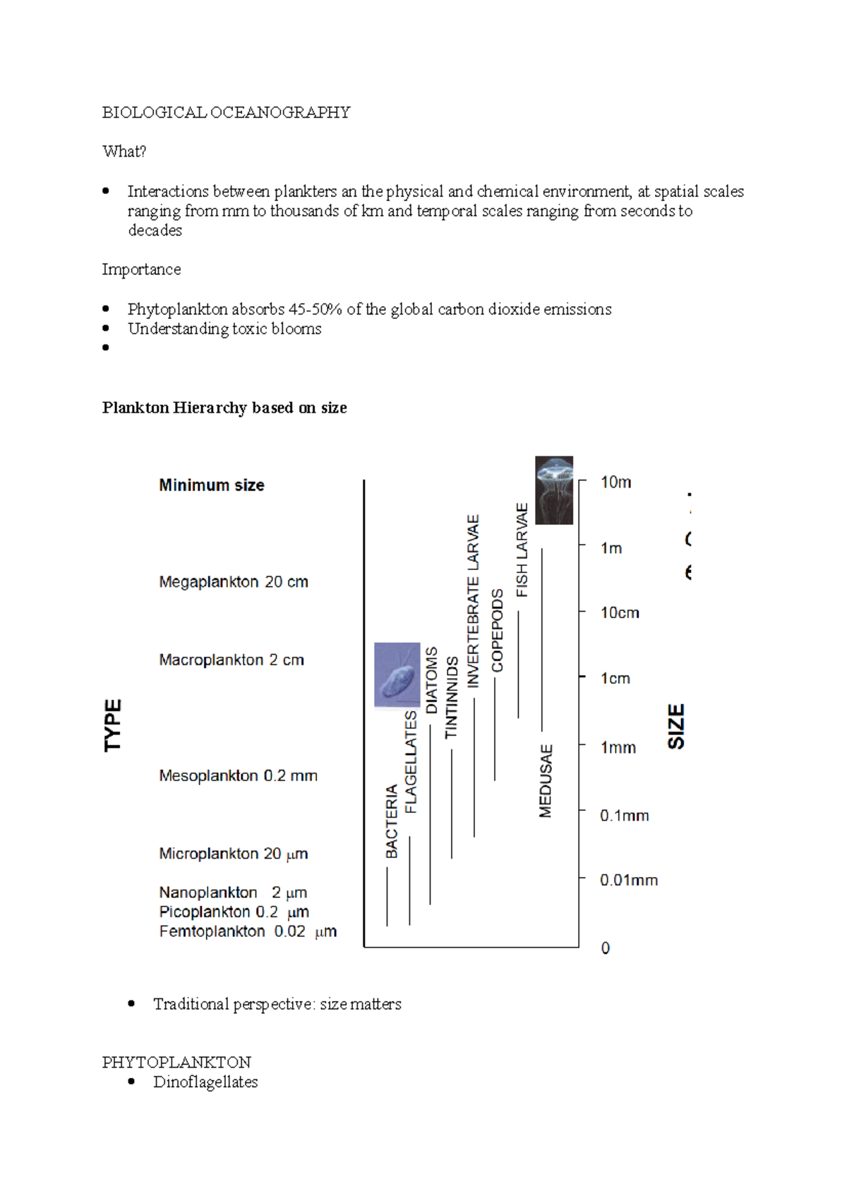 Biological Oceanography - BIOLOGICAL OCEANOGRAPHY What? Interactions ...