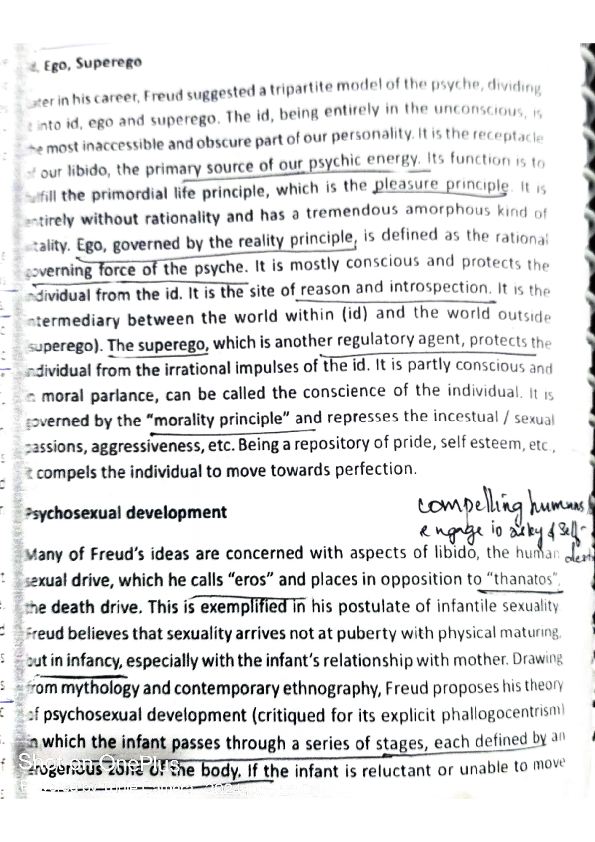 Psychosexual Development - Ego, Superego Later in his career, Freud ...