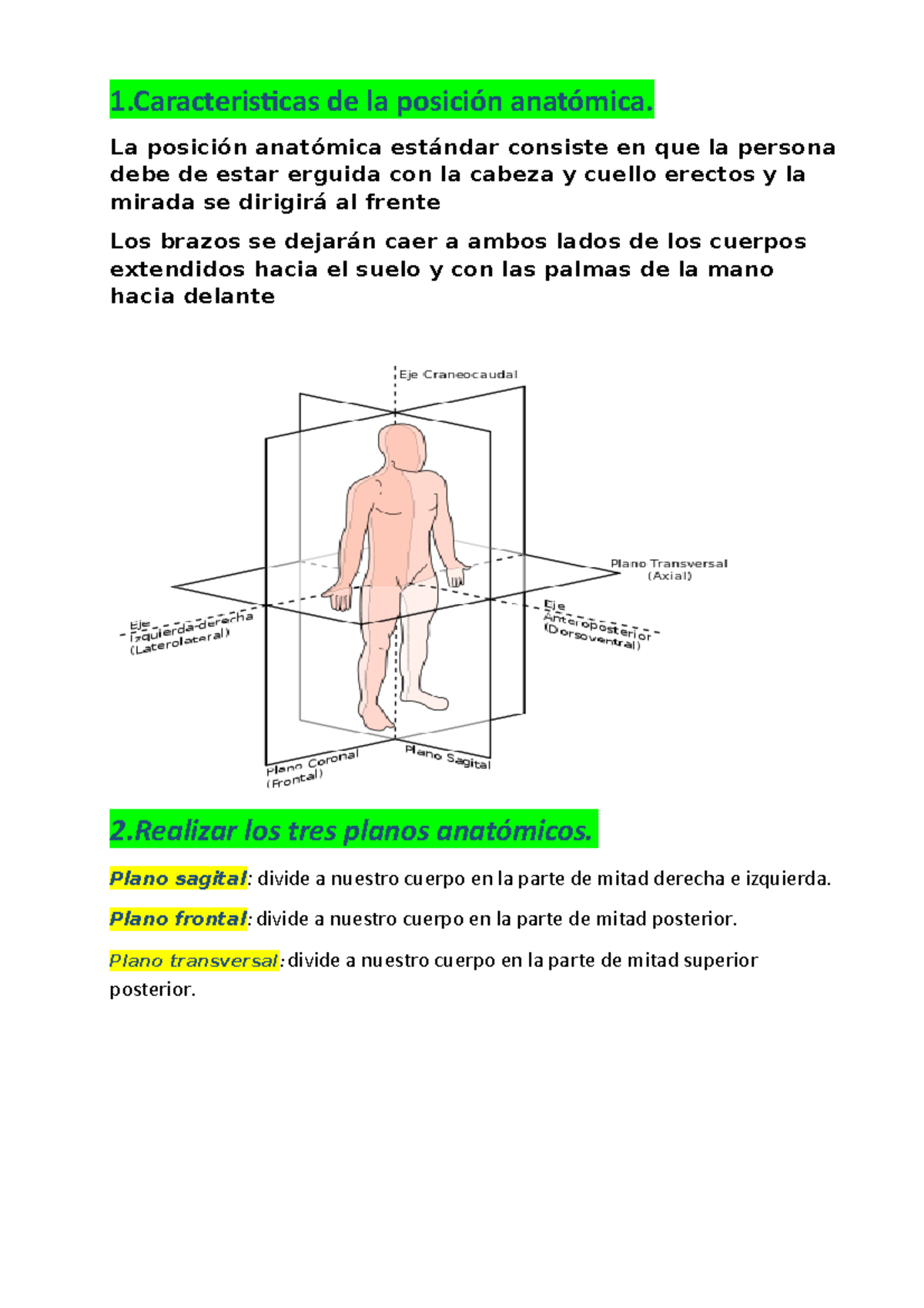 Aula 494 - ES UN TRABAJO - 1 de la posición anatómica. La posición ...